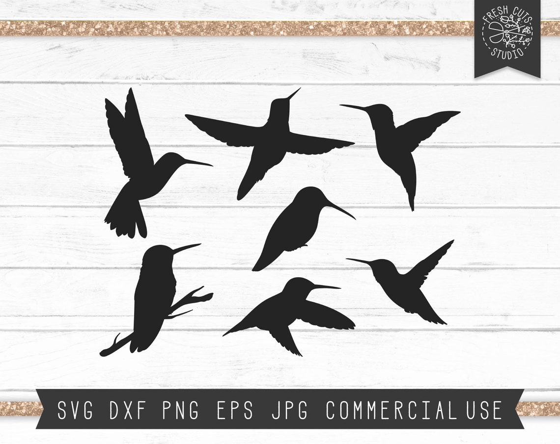 Hummingbird SVG File, Instant Download, Hummingbird Silhouettes ...