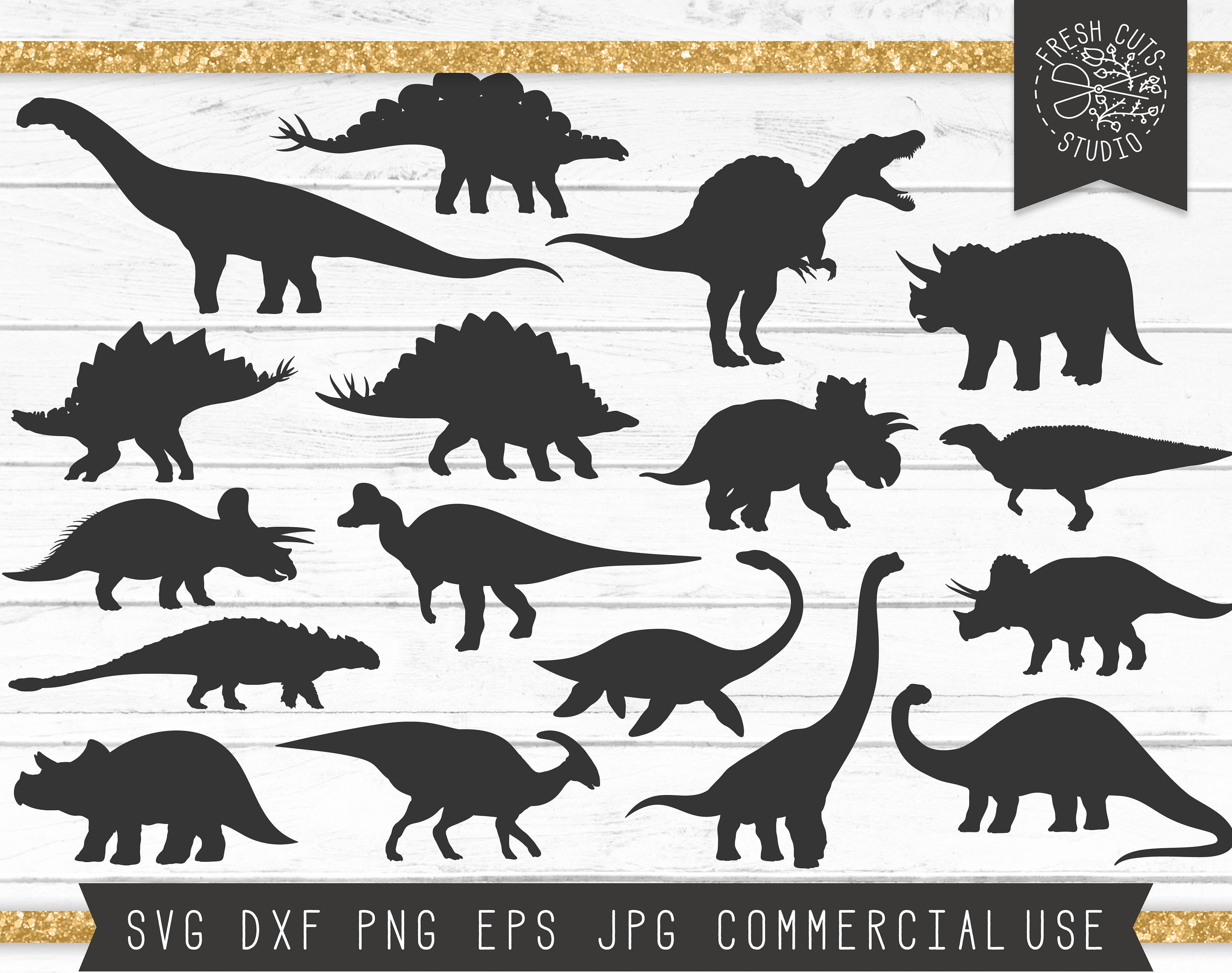 Dinosaur SVG Cut Files Instant Download Dinosaur | Etsy