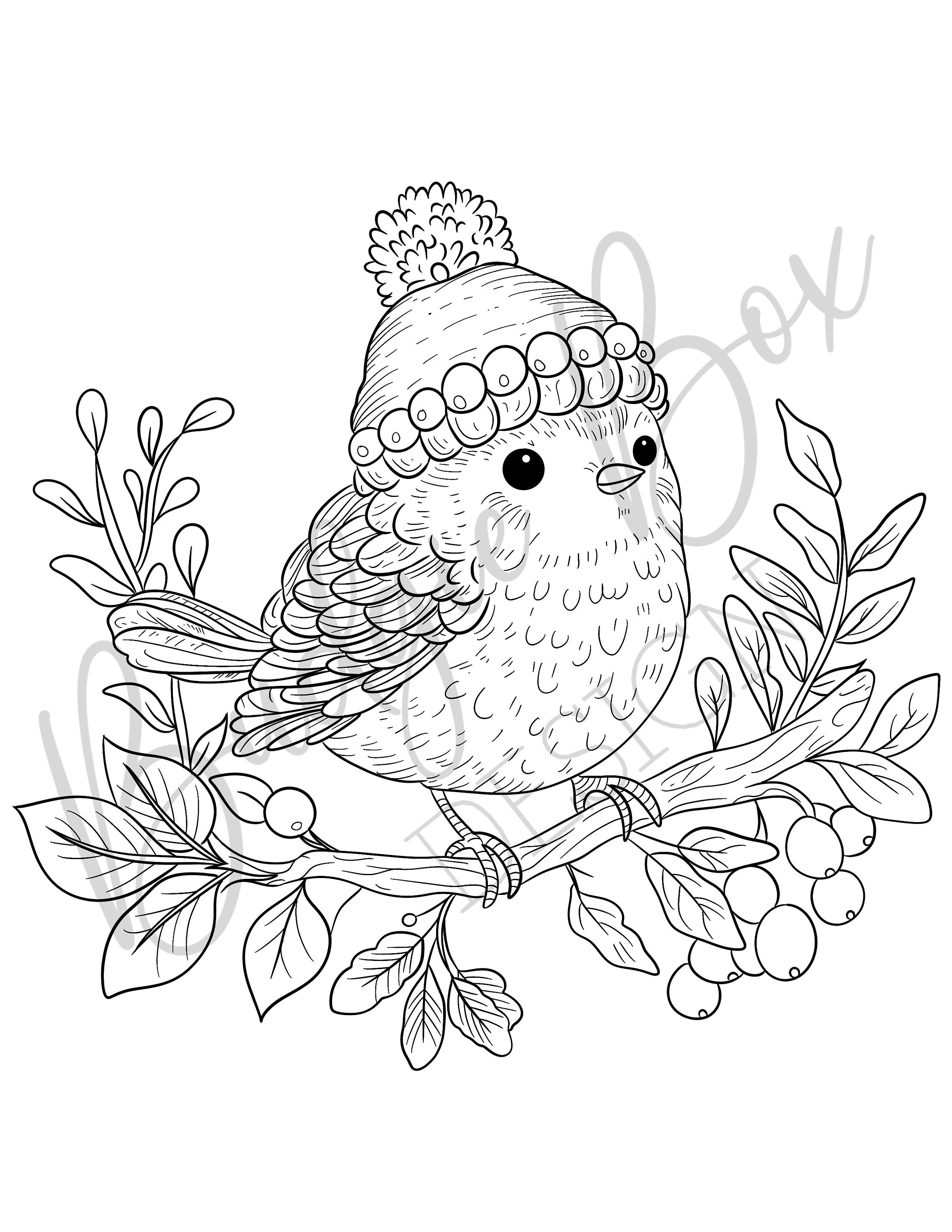 Winter Christmas Birds Adult Coloring Pages DIGITAL DOWNLOAD - Etsy