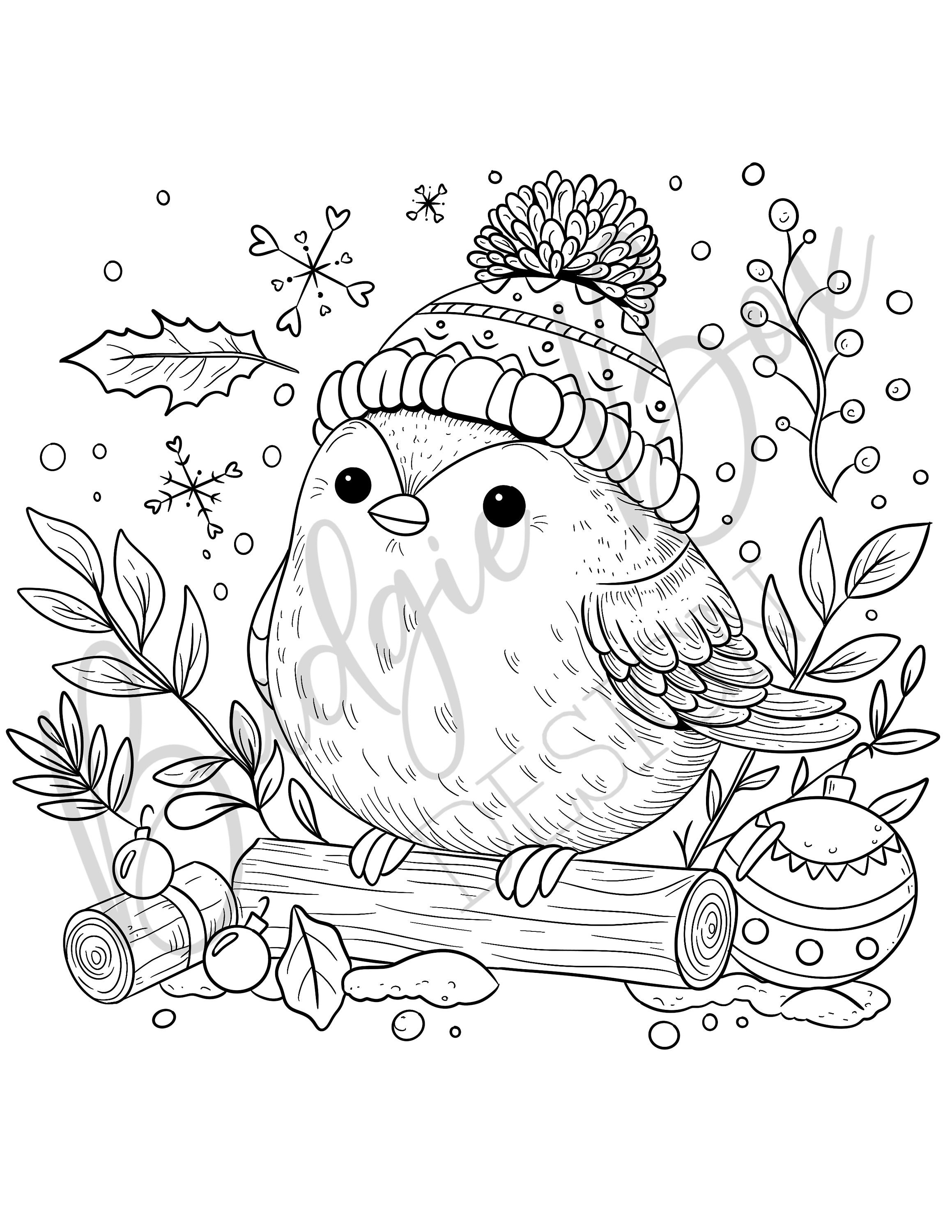 Winter Christmas Birds Adult Coloring Pages DIGITAL DOWNLOAD - Etsy