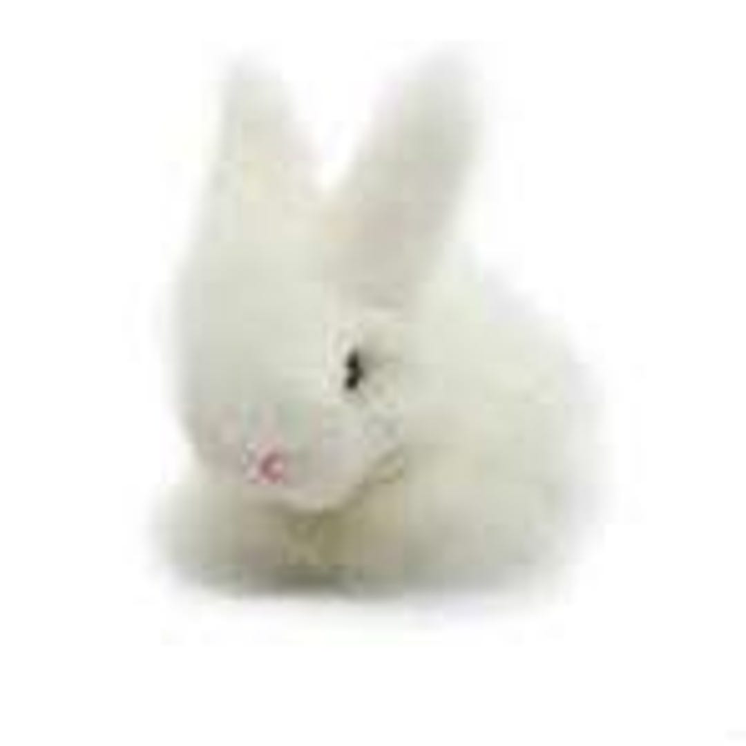 Rabbit Peruvian Gift Handmade Alpaca Fur Stuffed Animal Plush Alpaca ...