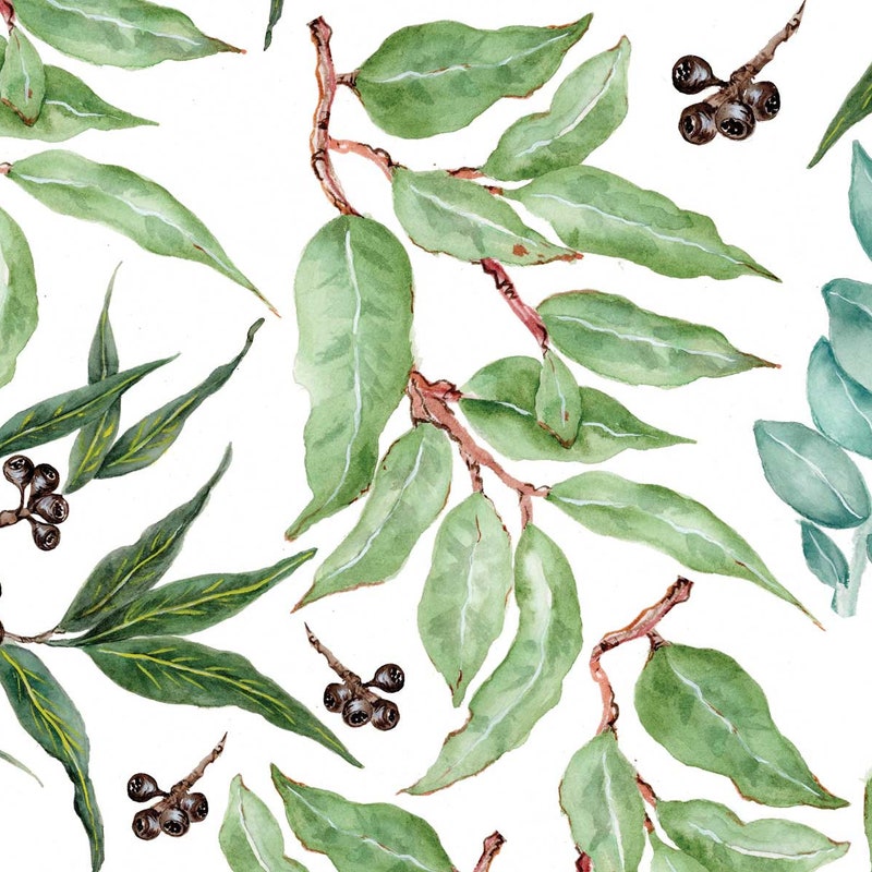 Greenery Wall Decal - Etsy