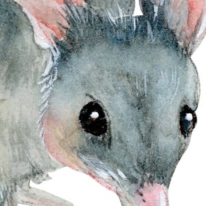 Australian Watercolour Bilby Removable Fabric Wall Sticker for Bedroom ...