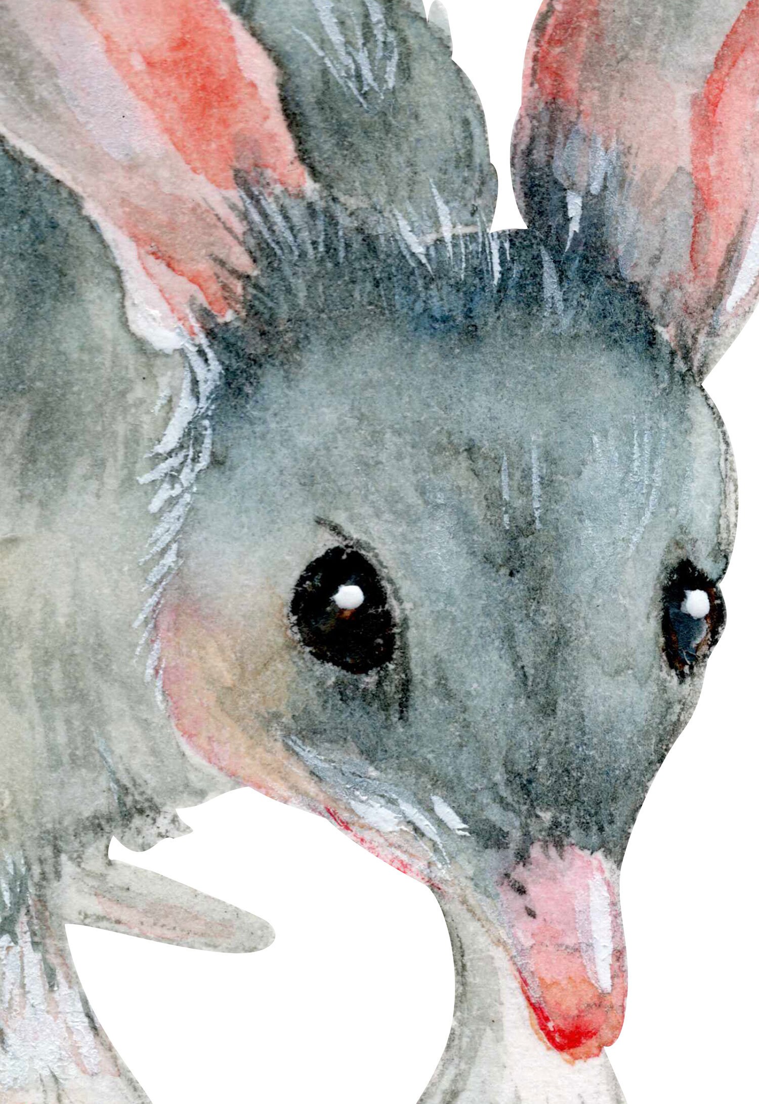 Australian Watercolour Bilby Removable Fabric Wall Sticker for - Etsy ...