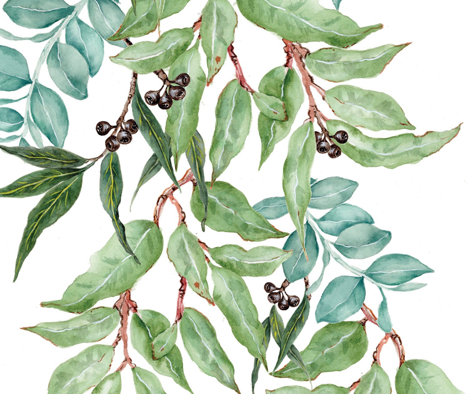 Australian Native Greenery Wall Sticker for Room Decoration - Etsy