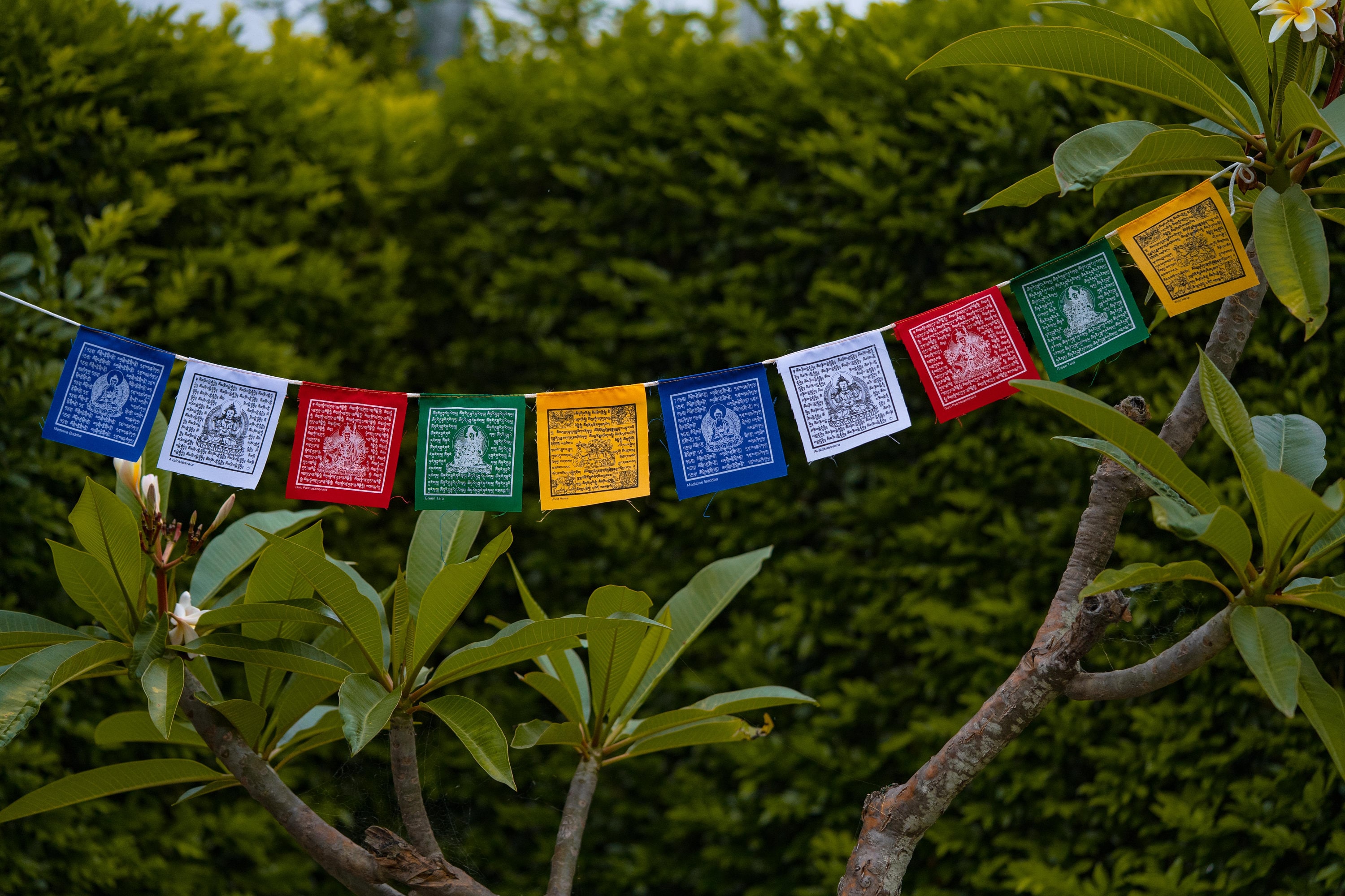 Traditional Lungta Tibetan Flags Best Quality Cotton | Etsy