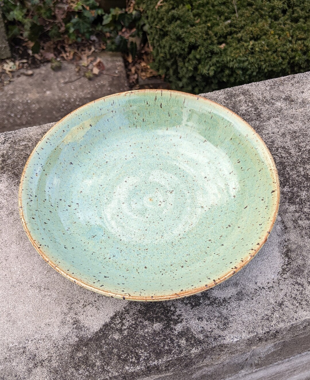A Shallow Bowl or Tall Plate. You Choose. - Etsy
