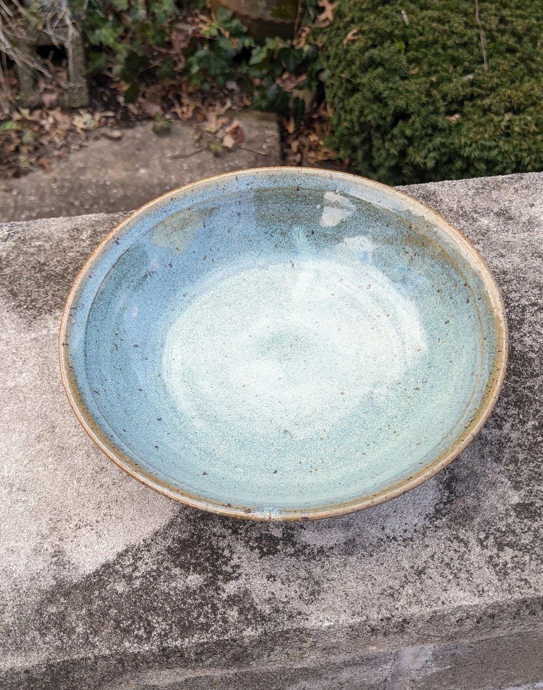 A Shallow Bowl or Tall Plate. You Choose. - Etsy