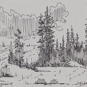 Original Tree Drawing, Evergreens, Landscape, Lines, Pen, Minimalist ...