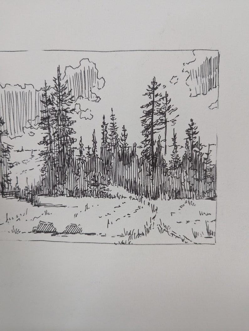 Original Tree Drawing, Evergreens, Landscape, Lines, Pen, Minimalist ...