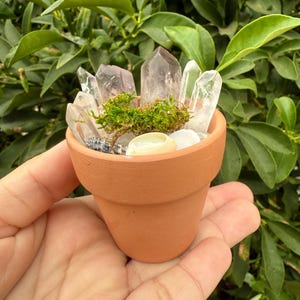 DIY Healing Crystal Flower Pot Kit – Create Your Own Mini Planter With ...