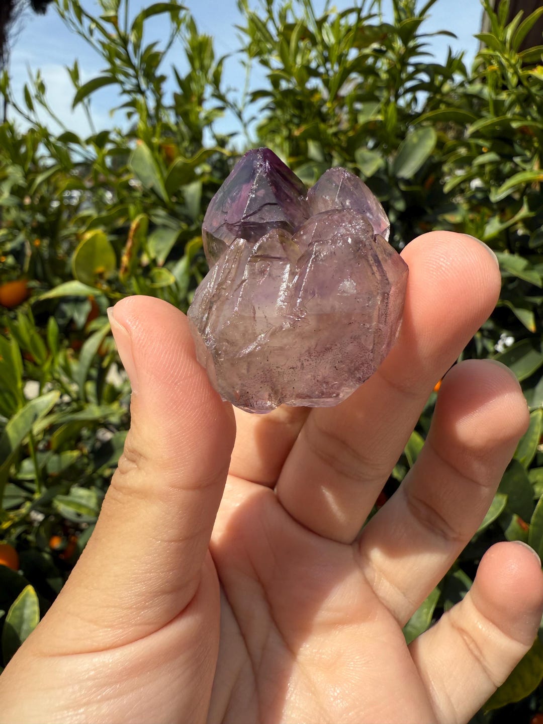 Skeletal Amethyst Crystal Mineral Specimen-#28 - Etsy