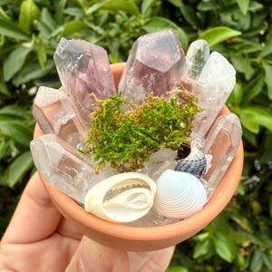 DIY Healing Crystal Flower Pot Kit – Create Your Own Mini Planter With ...