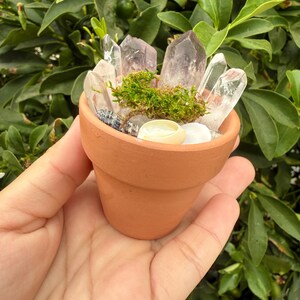 DIY Healing Crystal Flower Pot Kit – Create Your Own Mini Planter With ...