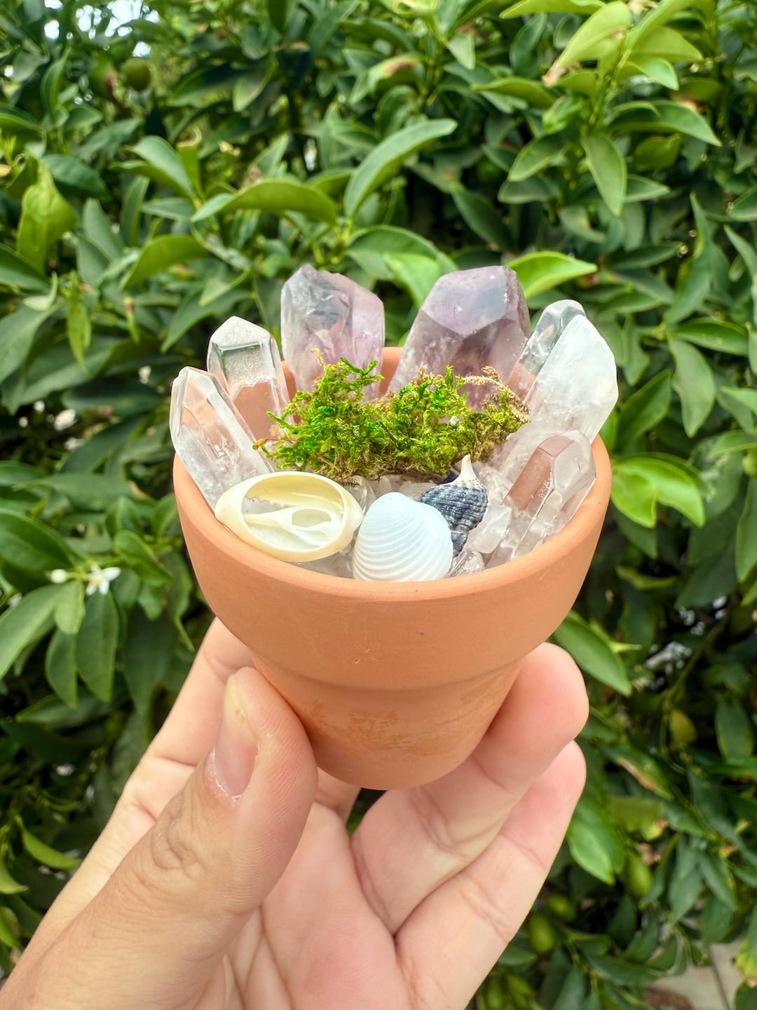 DIY Healing Crystal Flower Pot Kit – Create Your Own Mini Planter With ...
