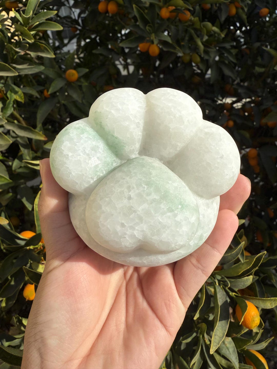 Huge Natural Quartzite Carved Paw Cute Gemstone Bear's-paw Cat's Paw ...