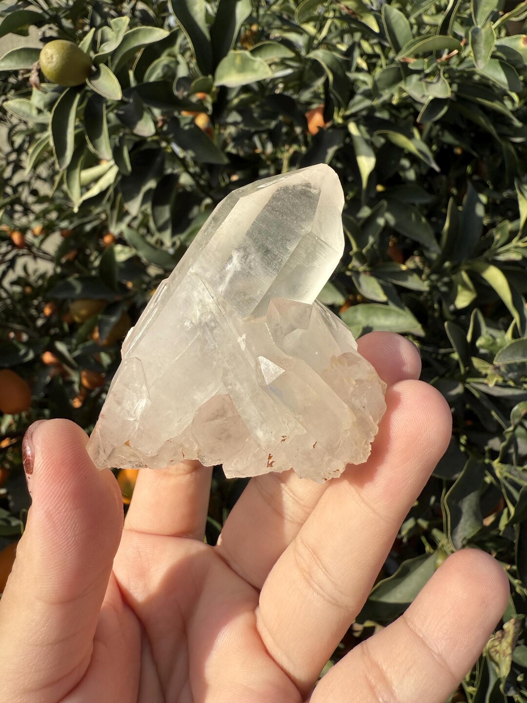 Clear Quartz Crystal Cluster | Clear Quartz Point L Rock Cluster ...