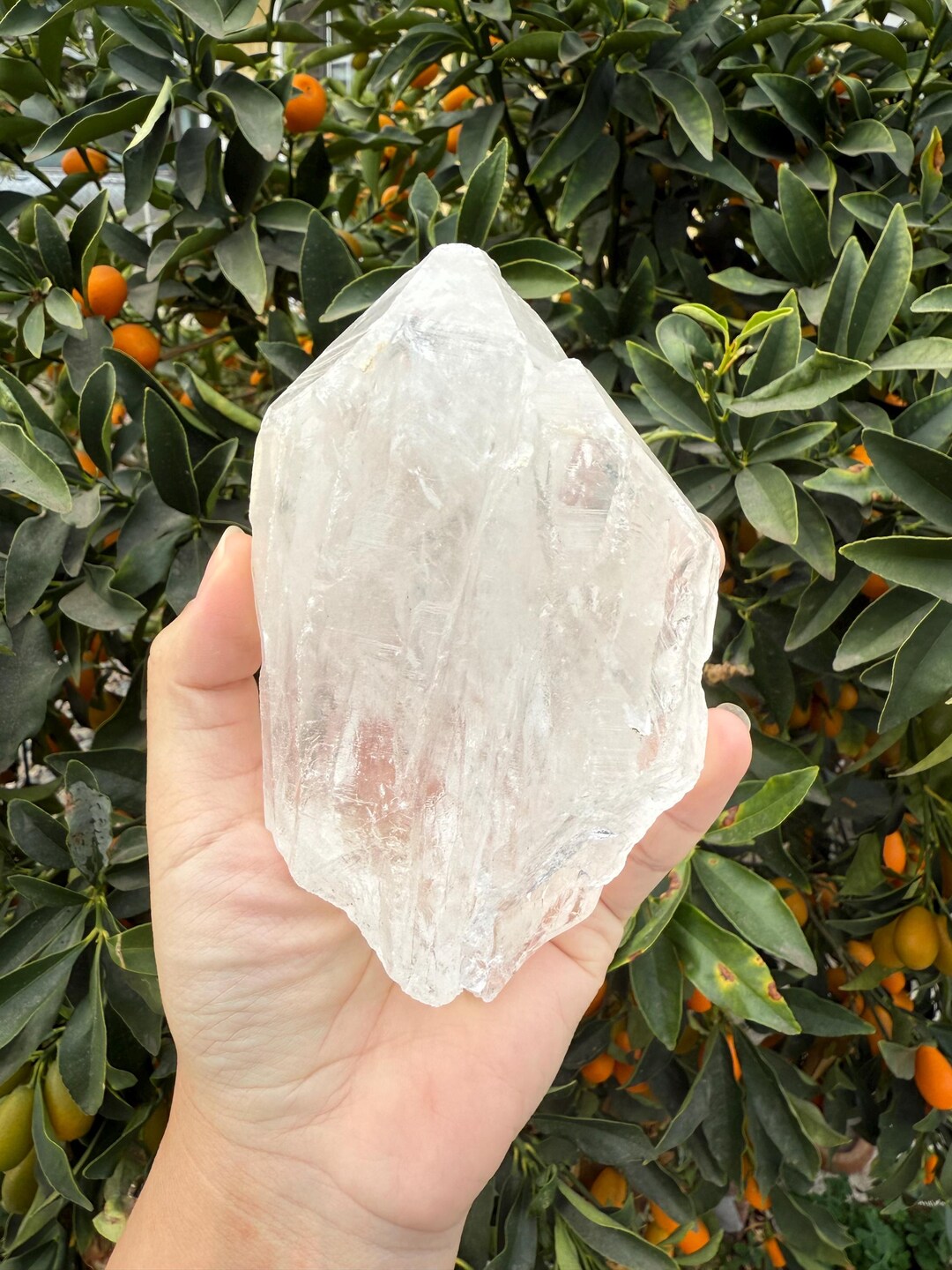 620g Himalayan Tabular Crystal Record-keeper Quartz Crystal From ...