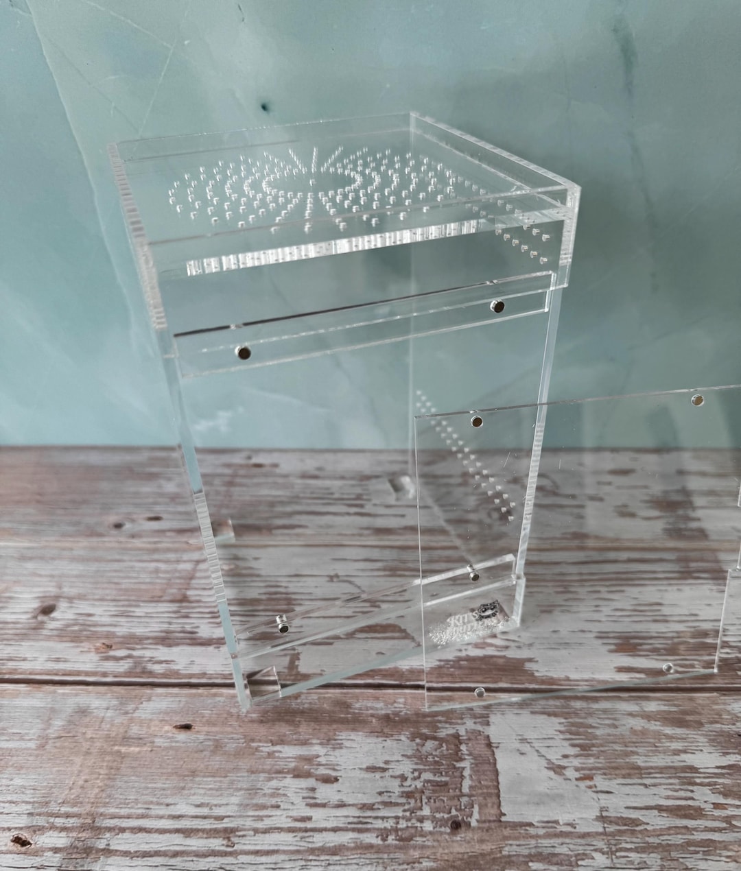 Jumping Spider Enclosure 4x4x6" Stackable - Etsy