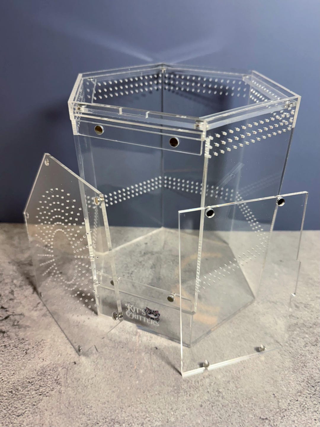 Jumping Spider Hex Tower Enclosure - Etsy