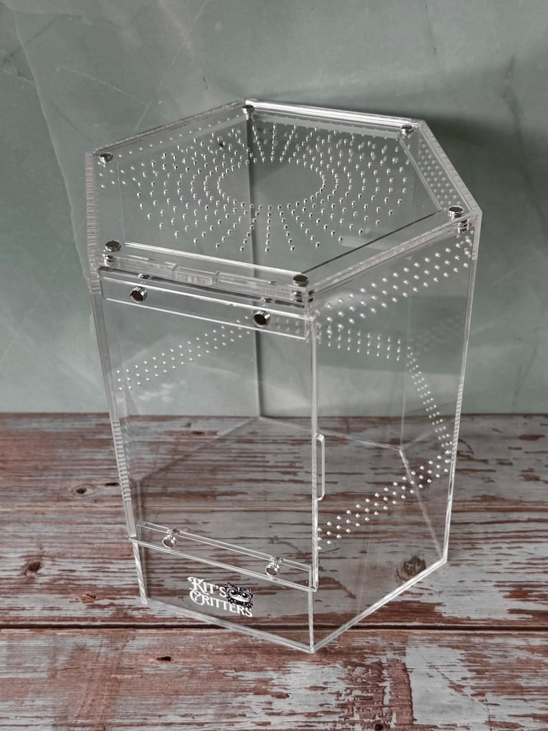 FLAWED Jumping Spider Hex Tower Enclosure - Etsy