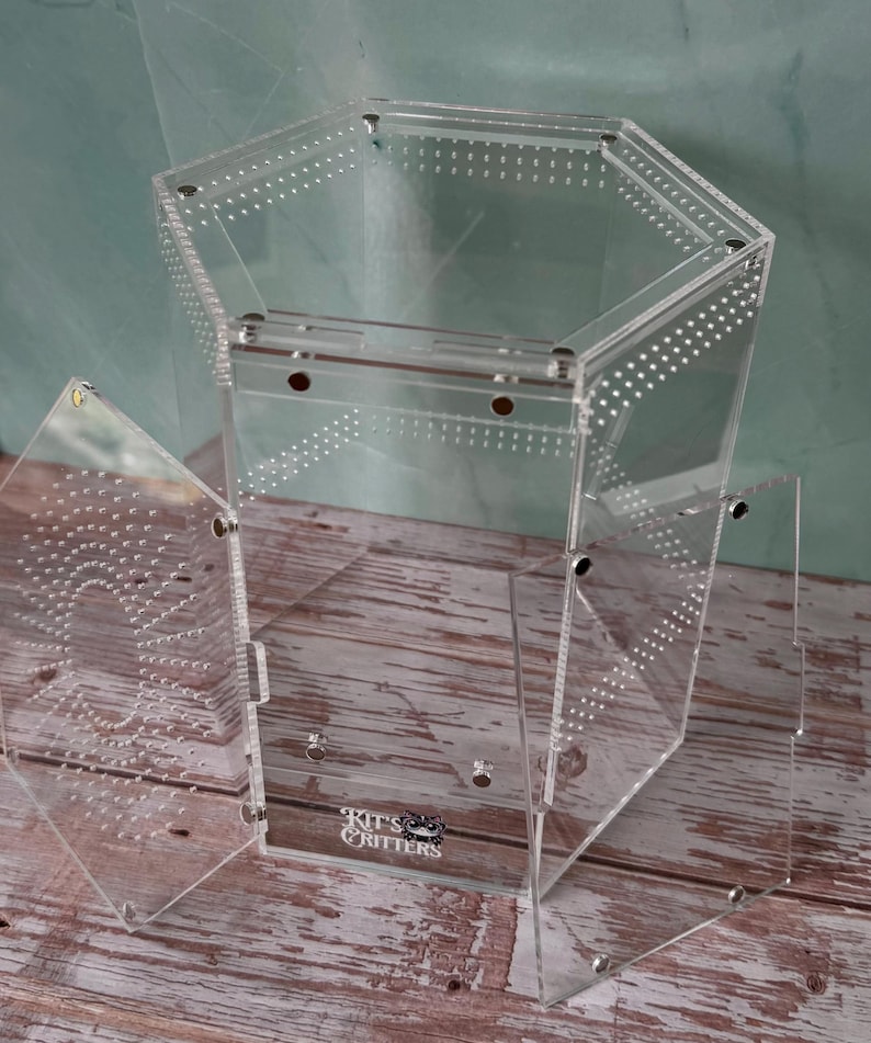 FLAWED Jumping Spider Hex Tower Enclosure - Etsy