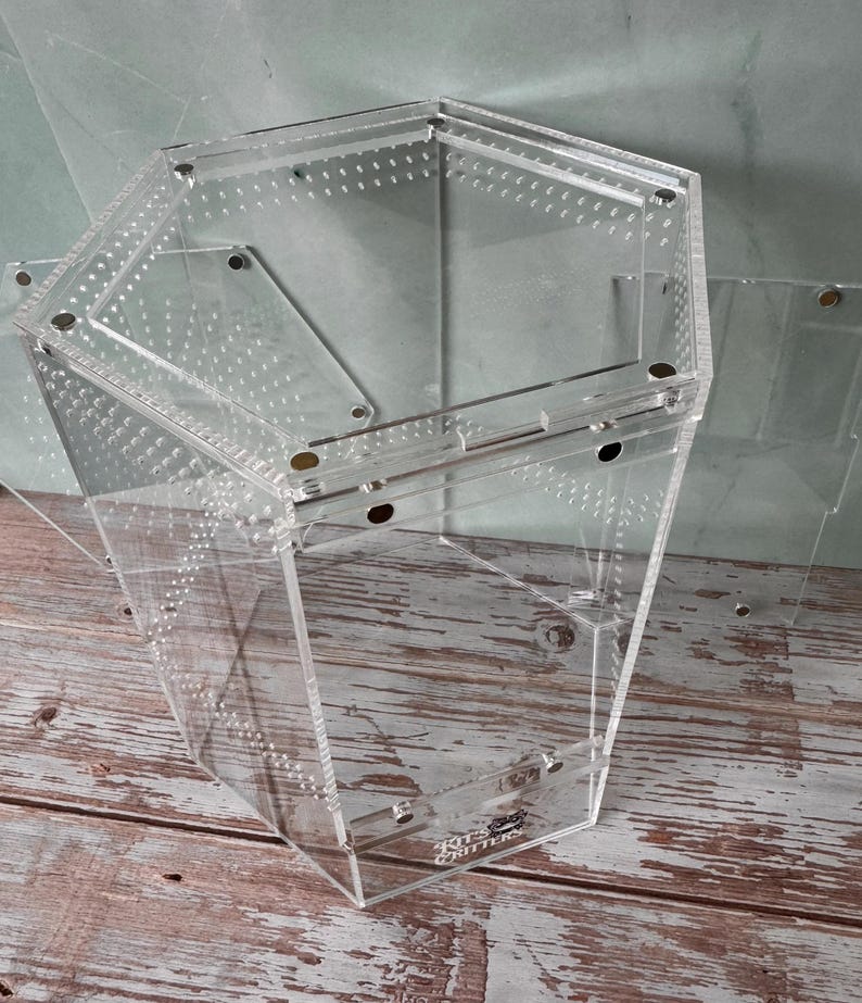 FLAWED Jumping Spider Hex Tower Enclosure - Etsy