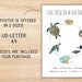 Life Cycle of a Sea Turtle Homeschool Learning Resource Montessori ...