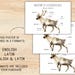 Anatomy of a Reindeer Homeschool Printable Montessori Resource Anatomy ...