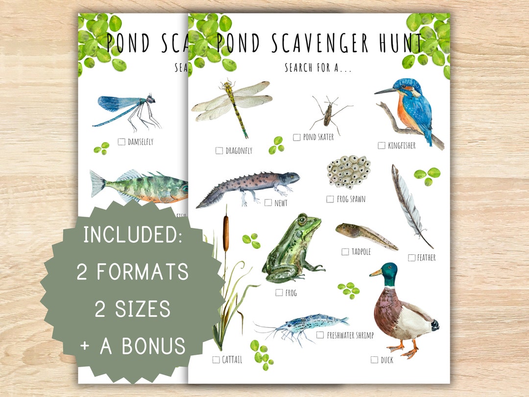 Scavenger Hunt Pond Exploration Printable Outdoor Activity Montessori ...