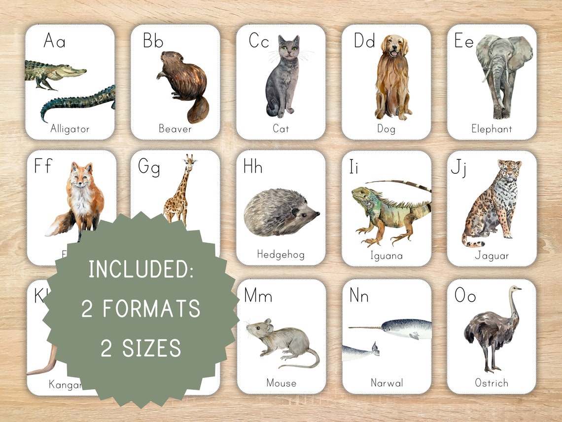 Animal Alphabet Flashcards Montessori Alphabet Resource Animal ABC ...