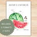 Anatomy of a Watermelon Homeschool Printable Montessori Resource ...