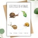 Life Cycle of a Snail Homeschool Printable Montessori Resource Life ...