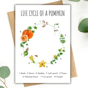 Life Cycle of a Pumpkin Homeschool Printable Montessori Resource Life ...