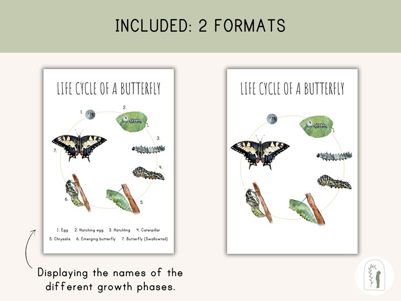 Life Cycle of a Butterfly Homeschool Printable Montessori - Etsy
