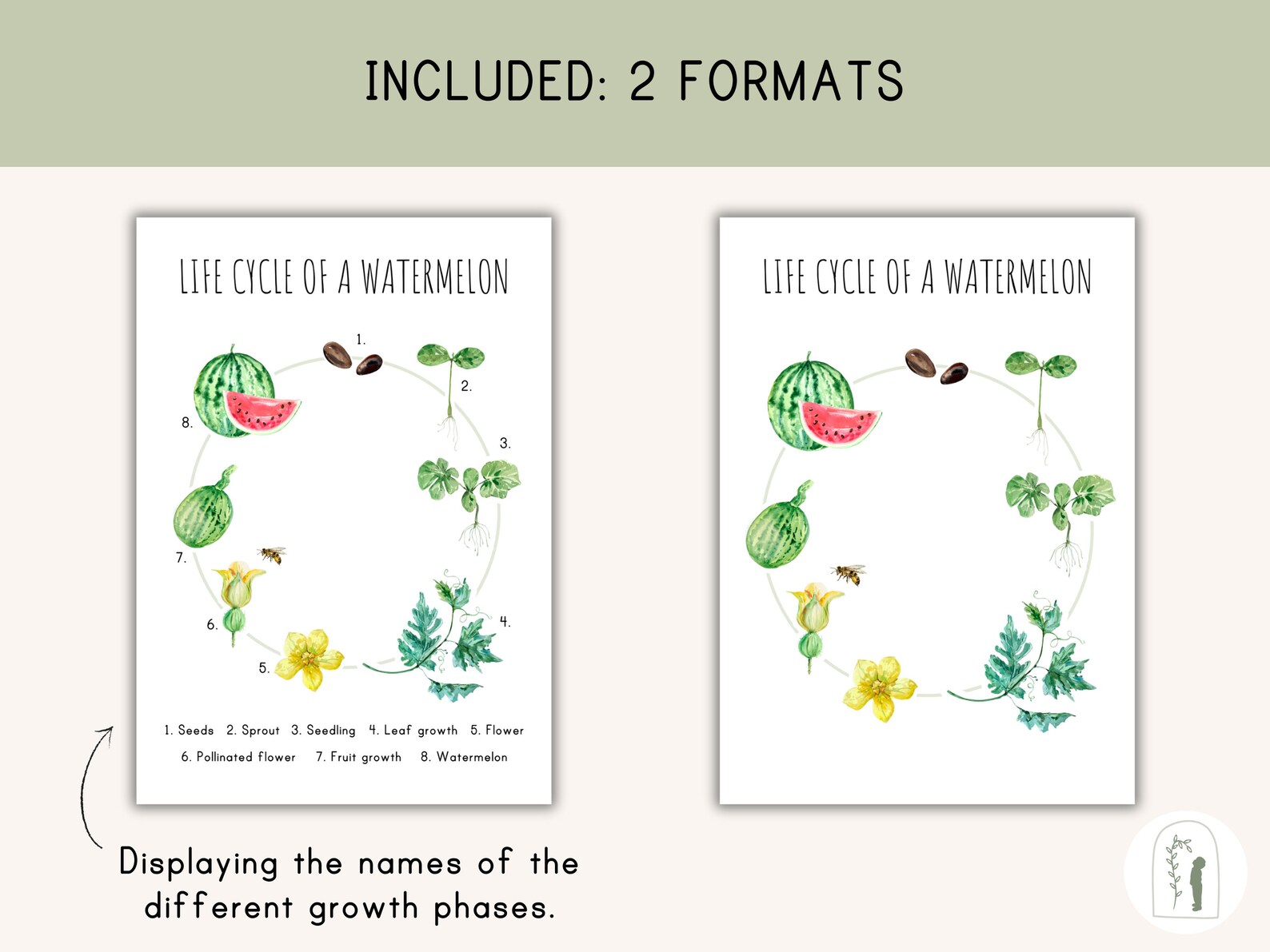 Life Cycle of a Watermelon Homeschool Printable Montessori - Etsy