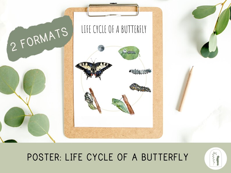 Life Cycle of a Butterfly Homeschool Printable Montessori - Etsy