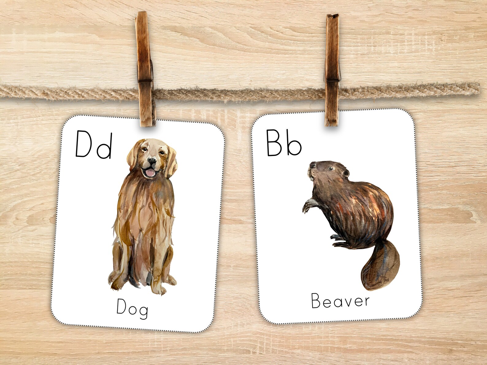 Animal Alphabet Flashcards Montessori Alphabet Resource Animal ABC ...
