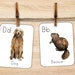 Animal Alphabet Flashcards Montessori Alphabet Resource Animal ABC ...