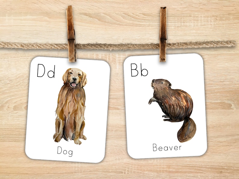 Animal Alphabet Flashcards Montessori Alphabet Resource Animal ABC ...
