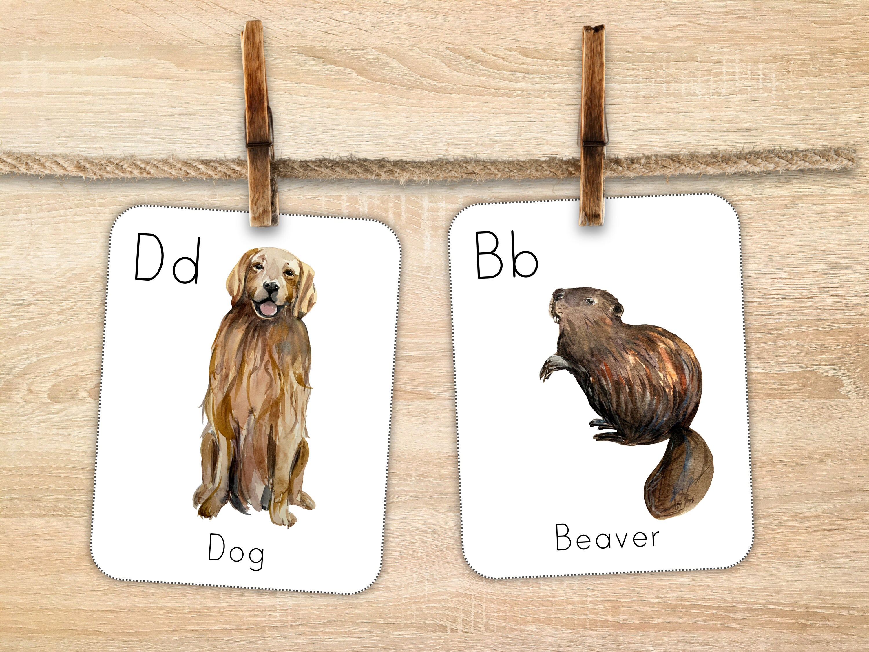 Animal Alphabet Flashcards Montessori Alphabet Resource Animal ABC ...