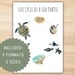 Life Cycle of a Sea Turtle Homeschool Learning Resource Montessori ...