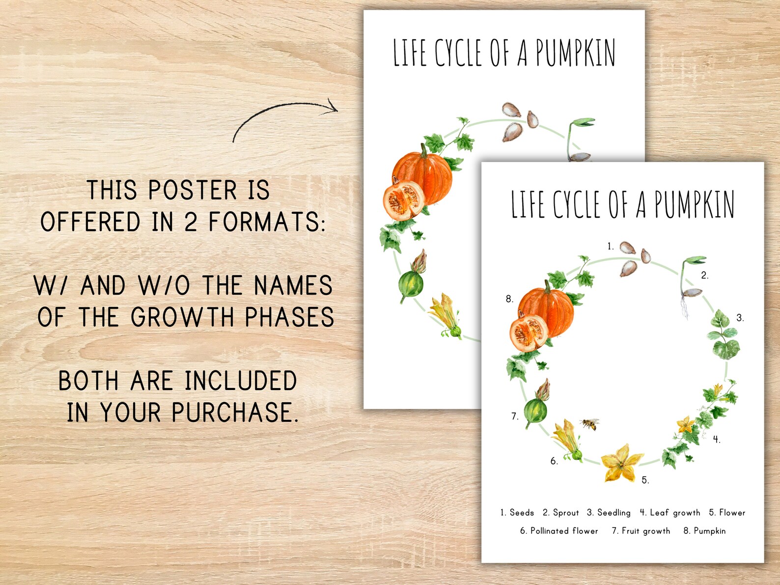 Life Cycle of a Pumpkin Homeschool Printable Montessori Resource Life ...