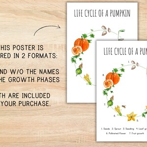 Life Cycle of a Pumpkin Homeschool Printable Montessori Resource Life ...