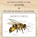 Anatomy of a Honey Bee Homeschool Printable Montessori Resource Anatomy ...