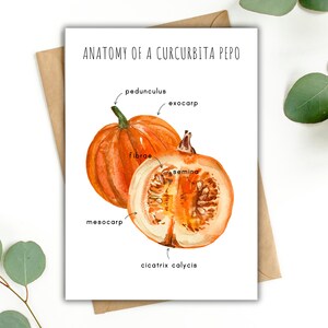 Anatomy of a Pumpkin Homeschool Printable Montessori Resource Anatomy ...
