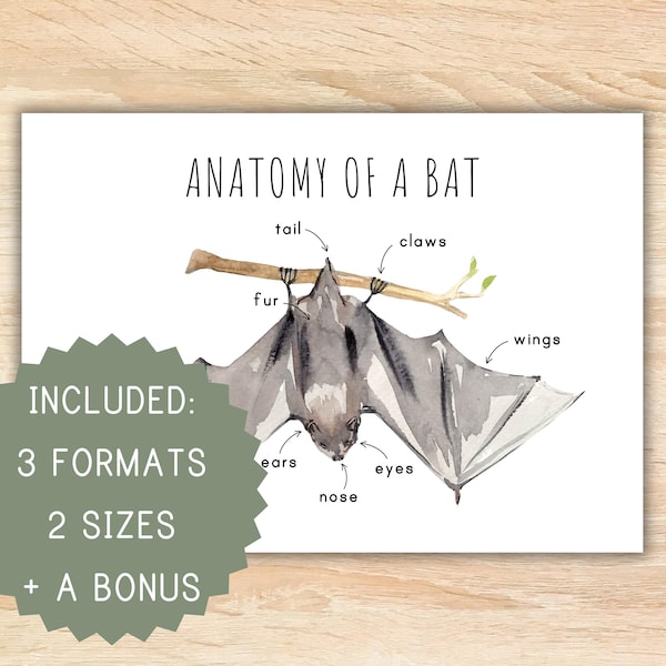 Bat Poster - Etsy