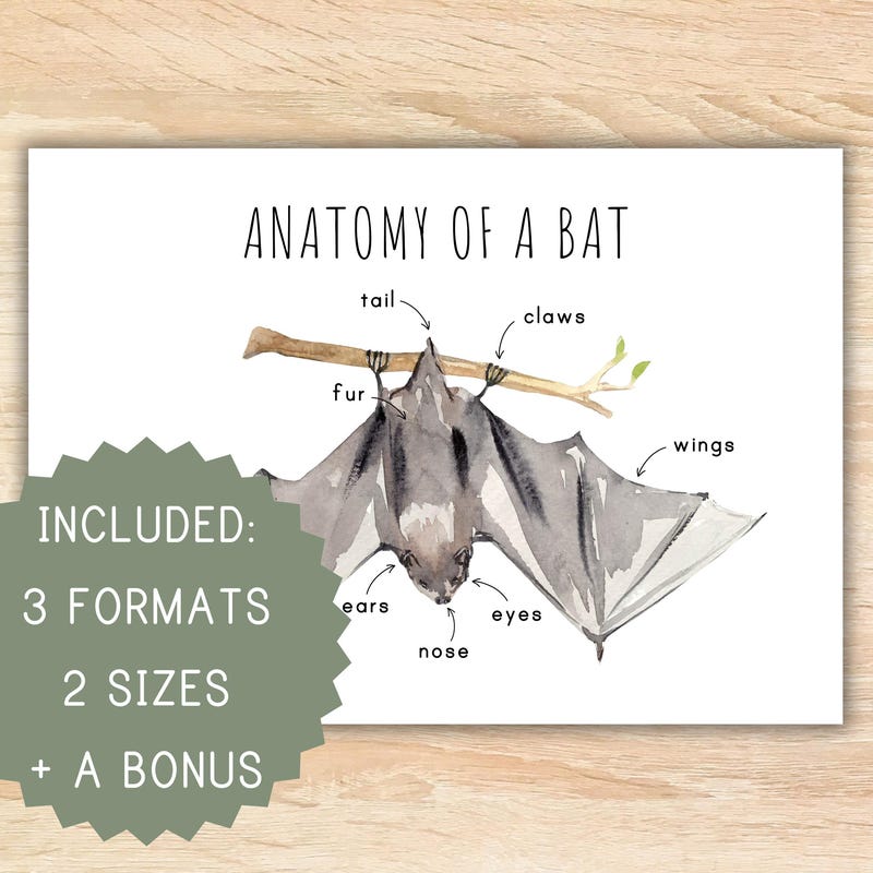 Bat Poster - Etsy