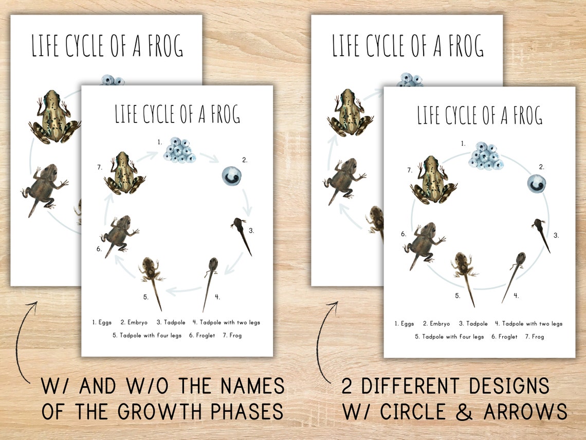 Frog Life Cycle of a Frog Homeschool Printable Montessori Resource Life ...