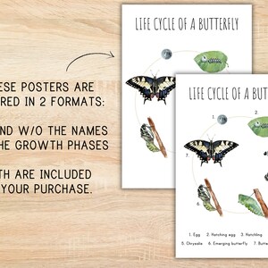 Life Cycle of a Butterfly Homeschool Printable Montessori Resource Life ...